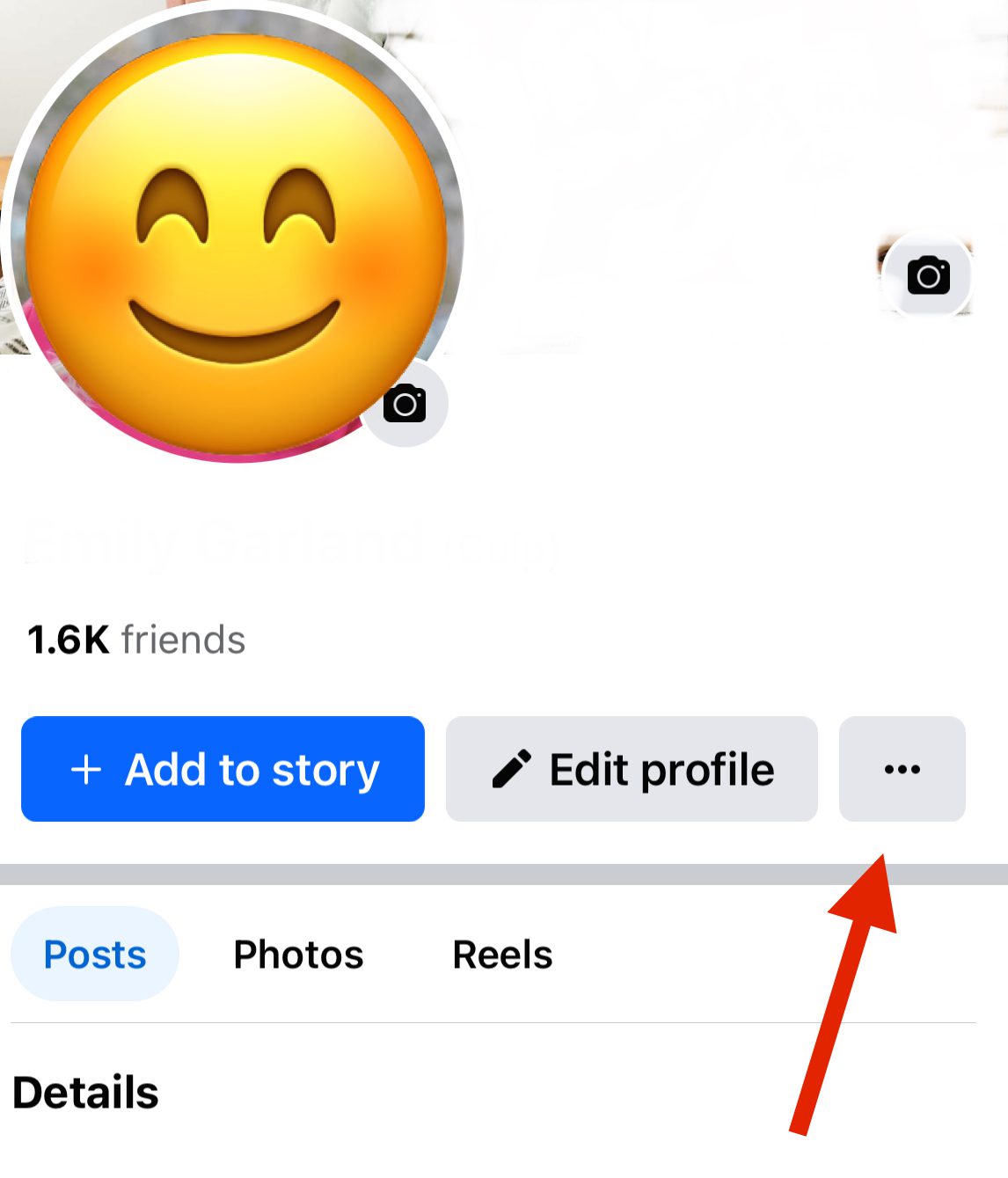 Adding Social Profile Links to Your Google Business Profile